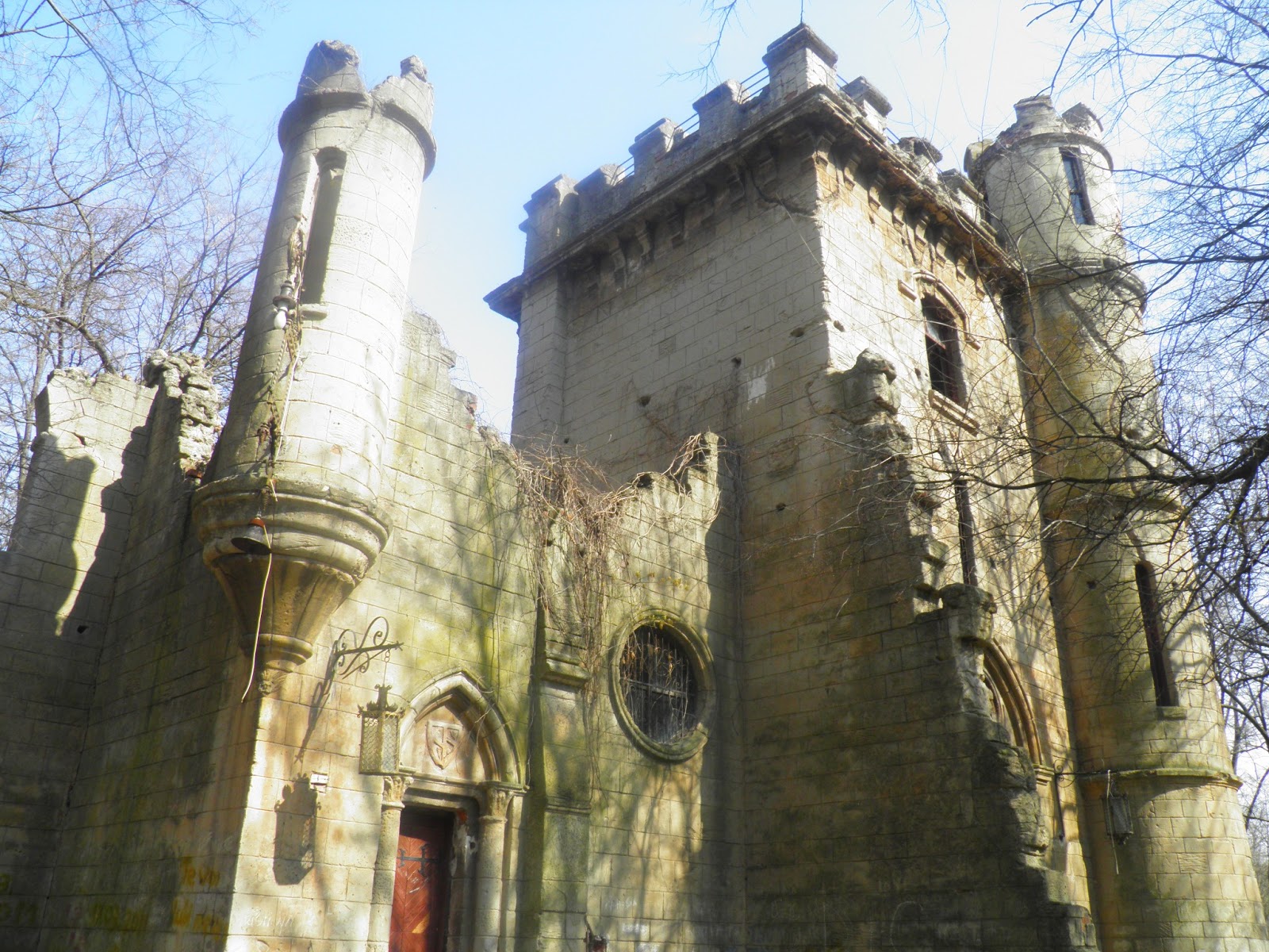 PASARI DIN ROMANIA: VRABIA DE CASA, Passer domesticus