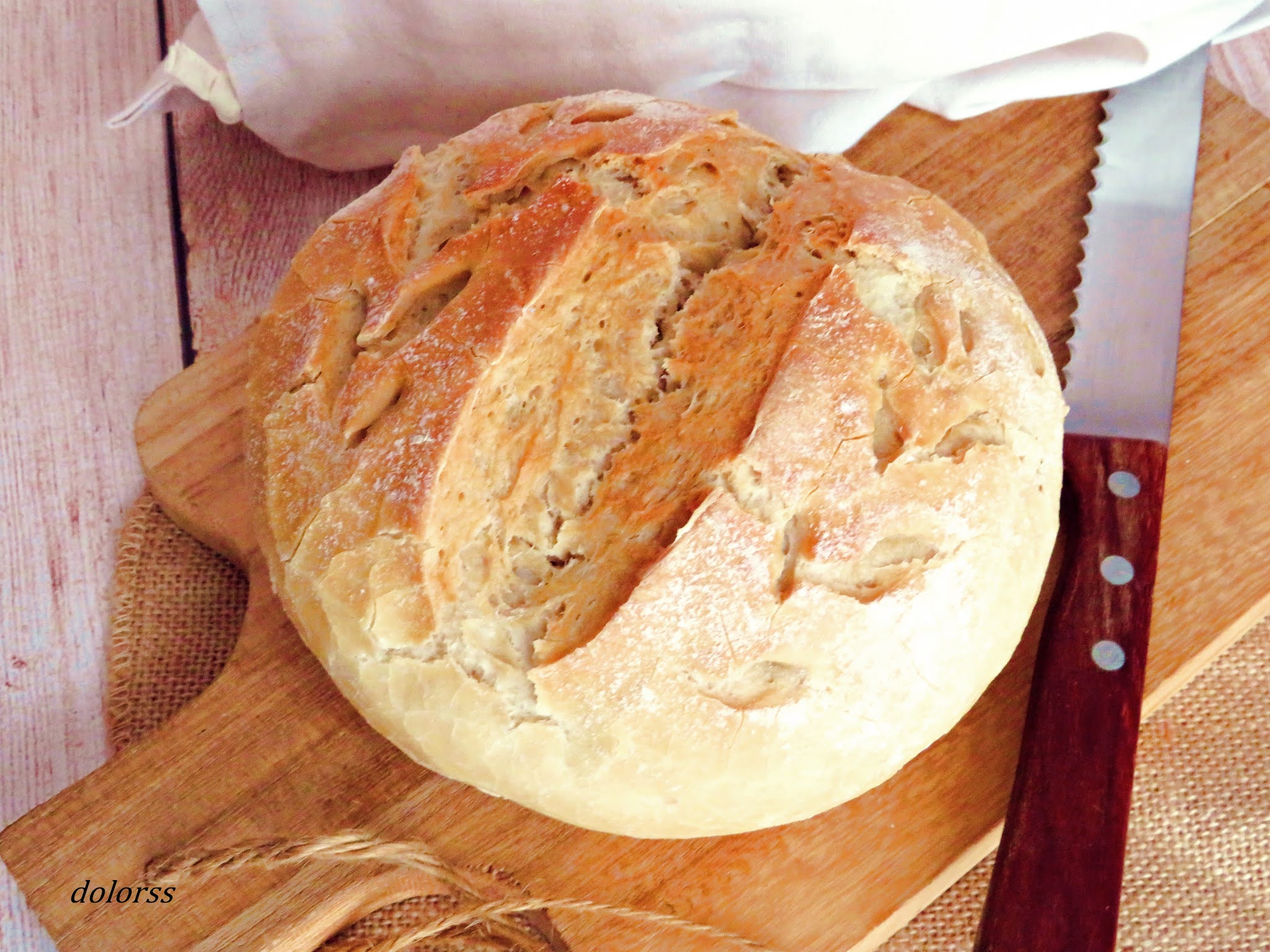 Blog de cuina de la dolorss: Pan sin amasar