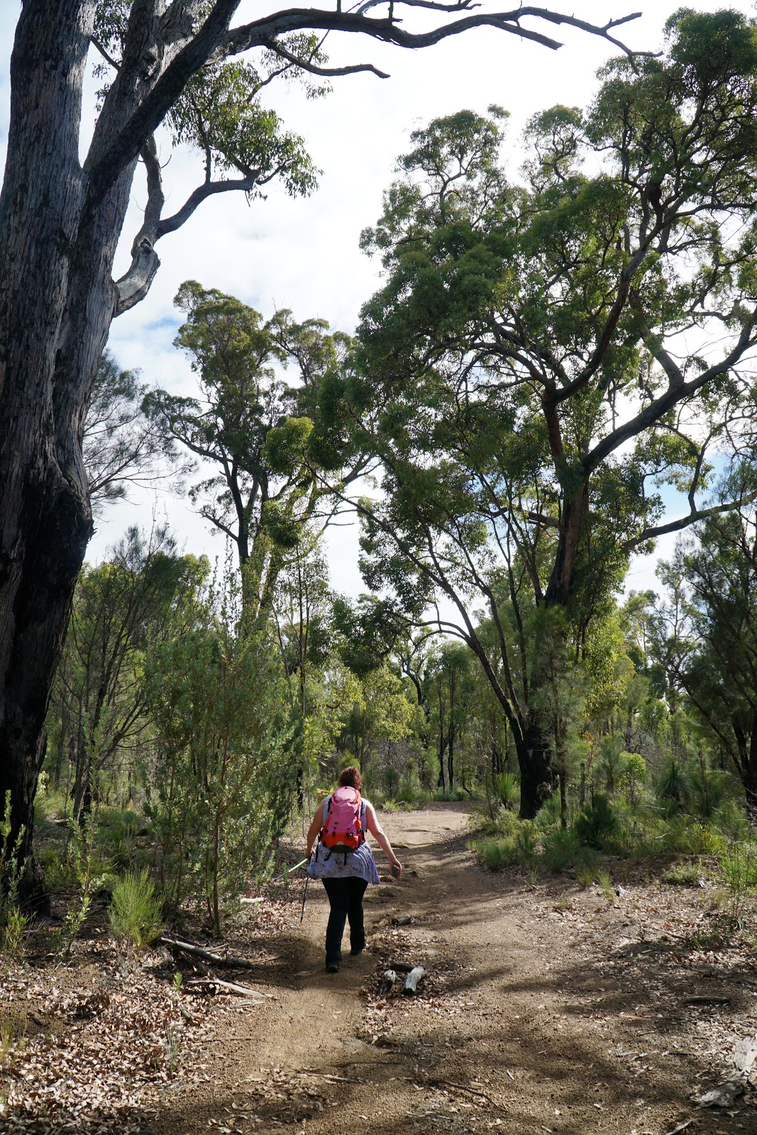 Abyssinia Rock Walk GPS Route (Jarrahdale State Forest) ~ The Long Way ...