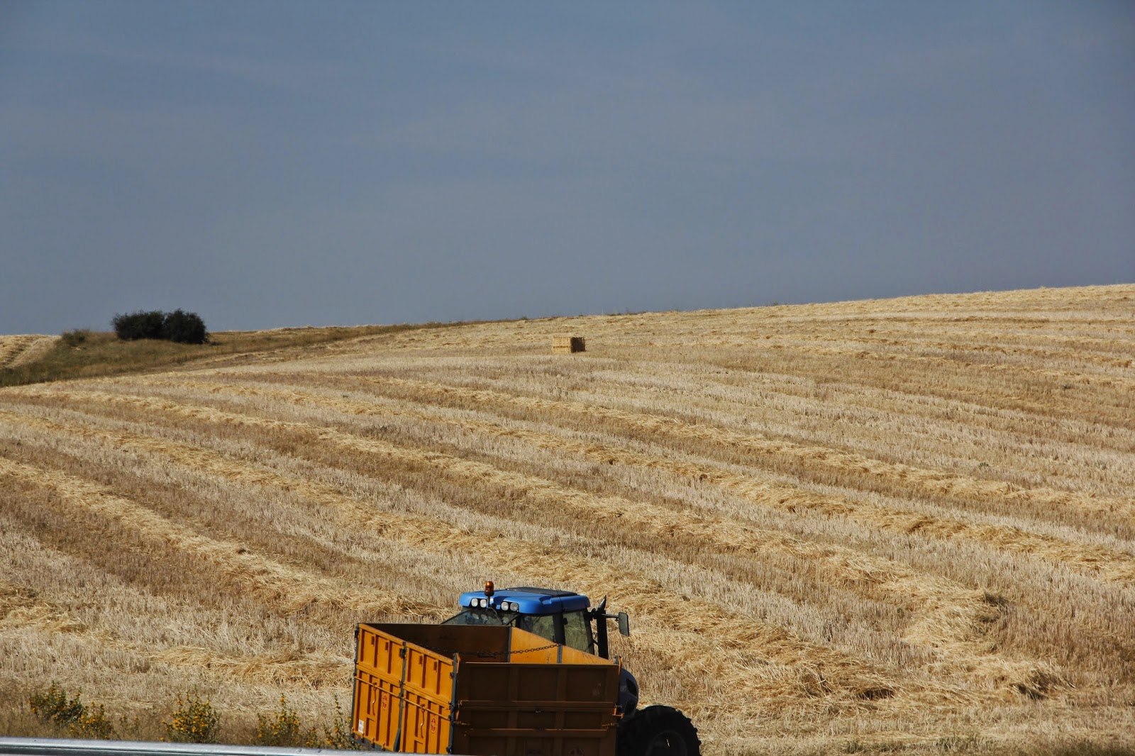 o sanxirole: Visita a El Prado
