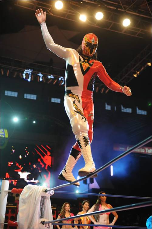 Lucha Libre Porra Fresa: Los 10 Mejores Luchadores Aereos del CMLL