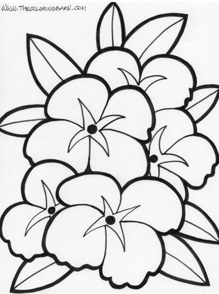 Flower Outline Coloring Page ~ Coloring Print