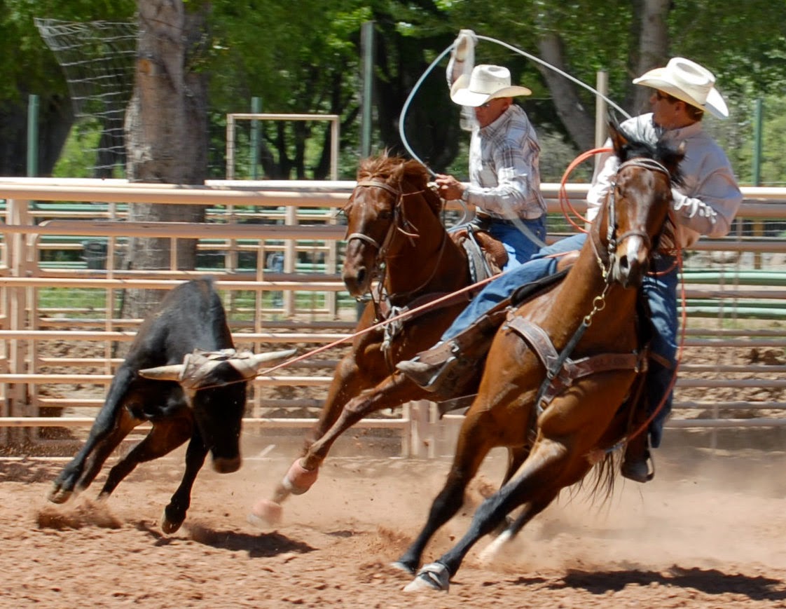 Chris Navarro Studio Blog: Rodeo Injuries