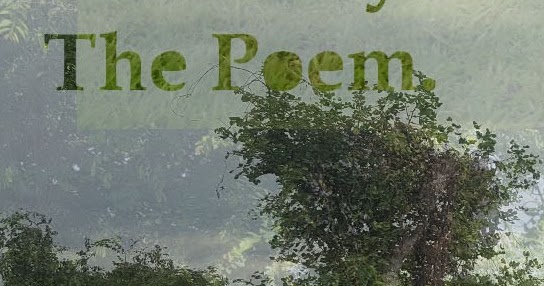 A Simple Guide to Writing a Poem |The Never Give Up Poetry: A Simple ...