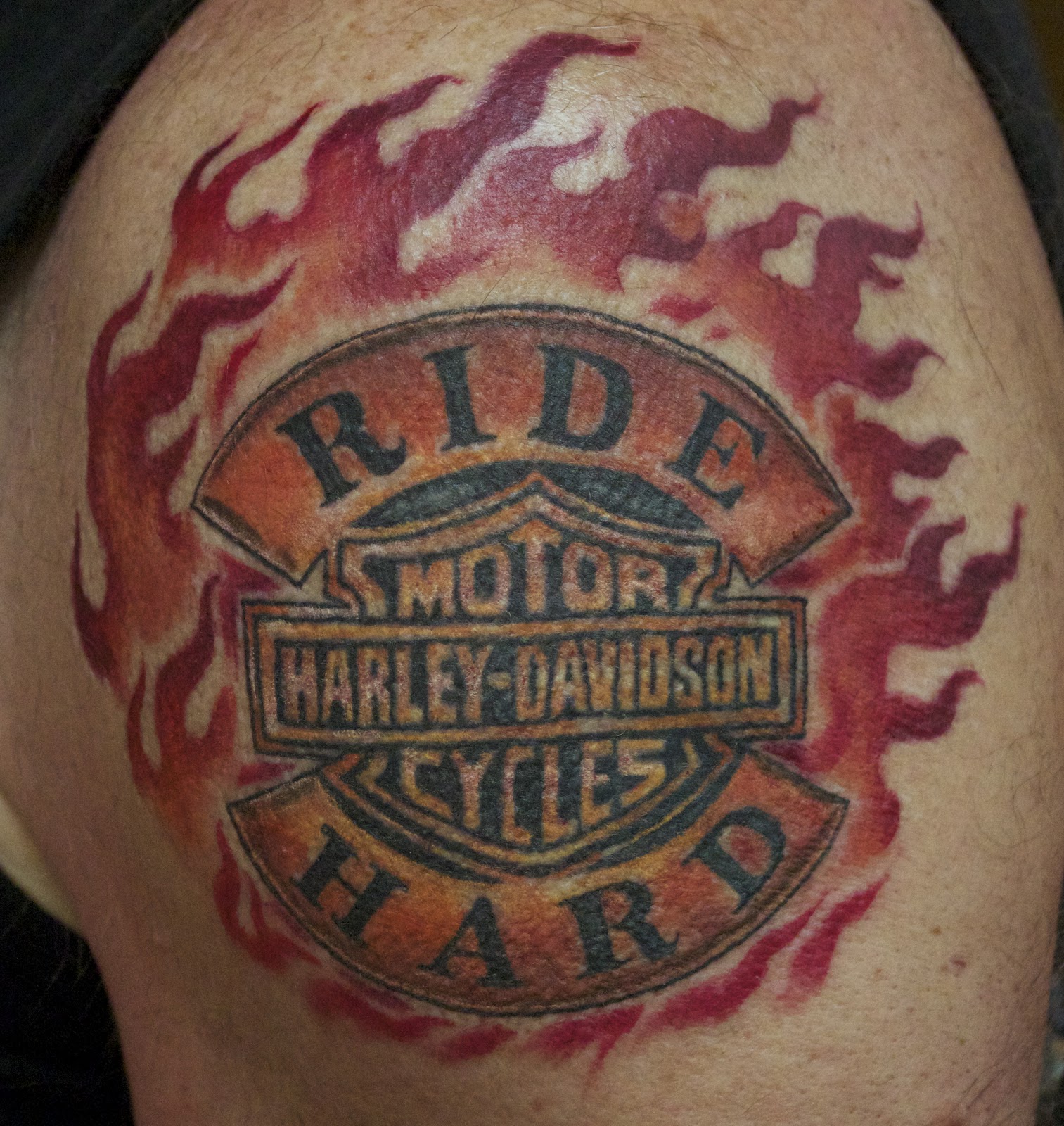 Arrows And Embers Custom Tattooing: Harley Davidson Ride Hard Tattoo ...