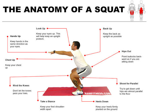 TIPS TO HELP YOU LEARN SQUATS
