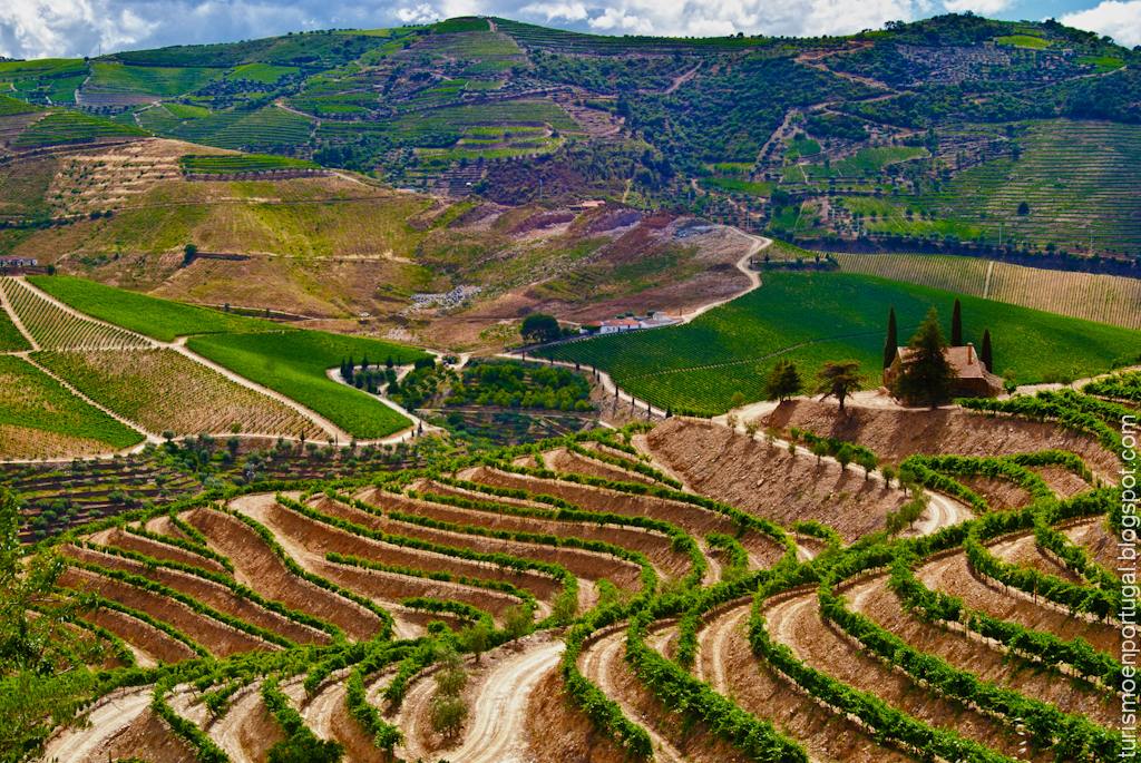 Entre Douro e Minho | Turismo en Portugal