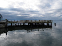 Gravel Beach: Bush Point