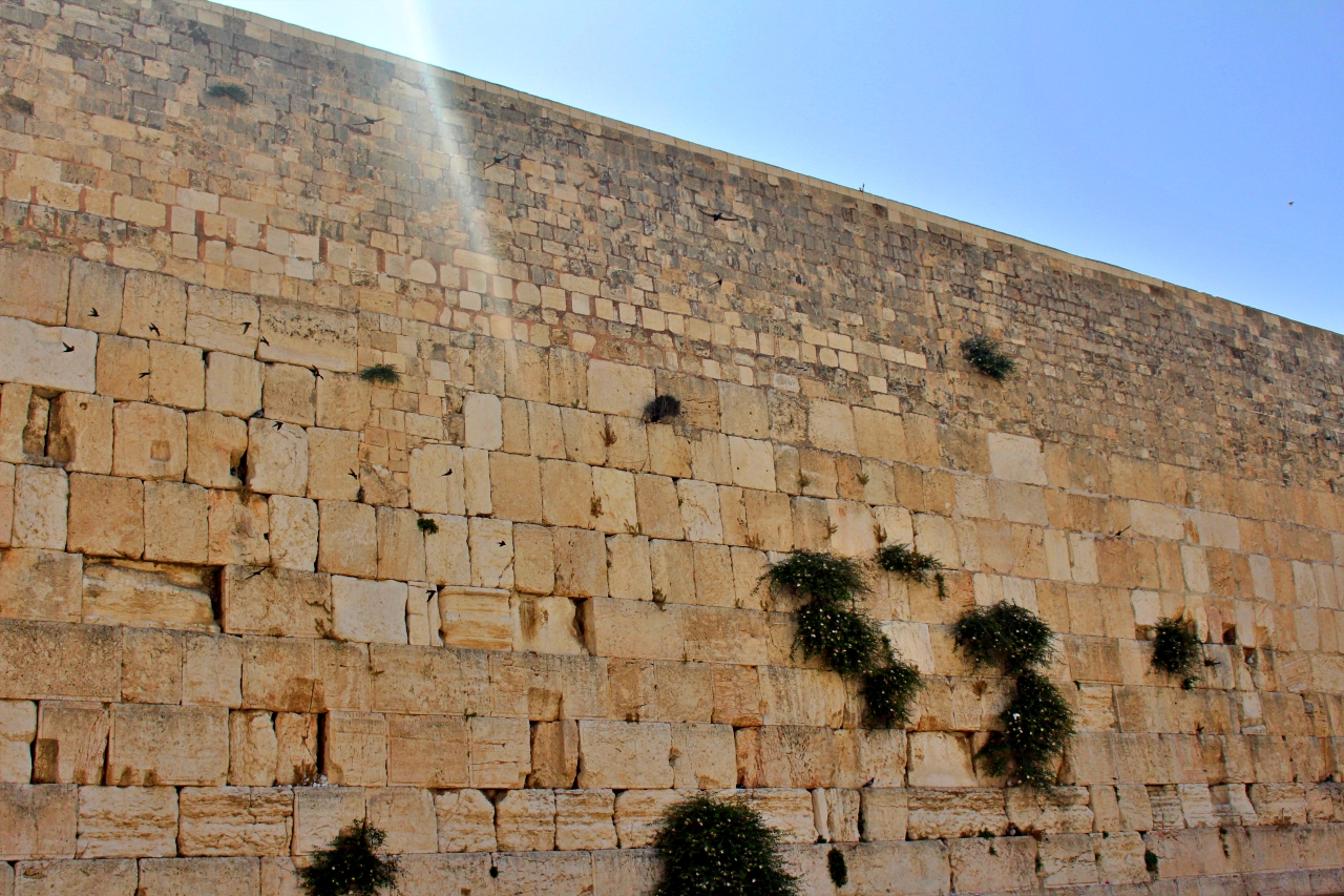 Reciting a Brief Prayer at the Wailing Wall in Jerusalem | Israel ...