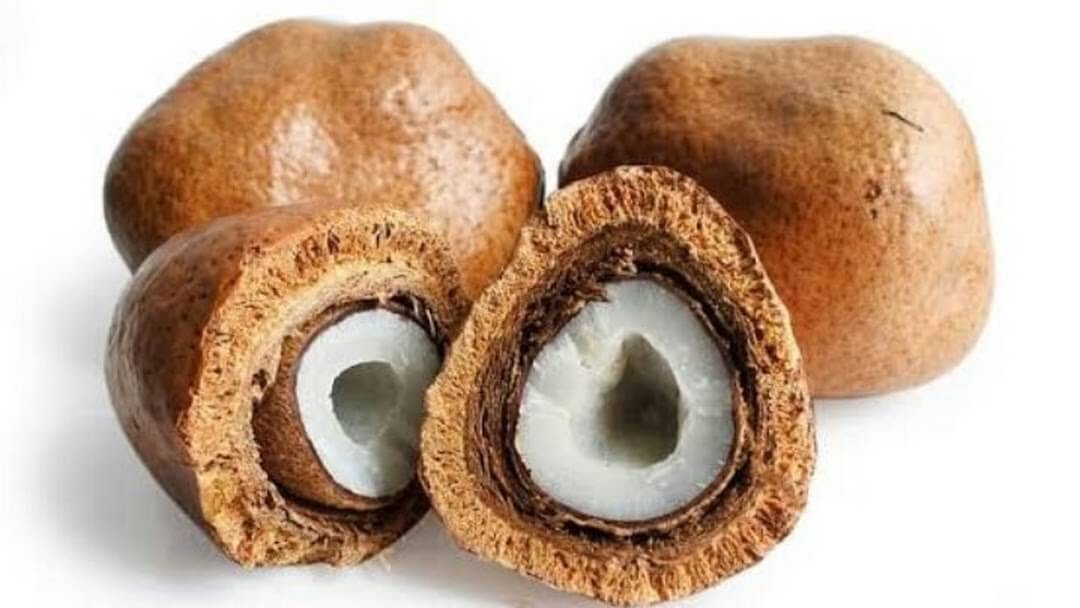 فوائد ثمار الدوم العجيبة على النساء والرجال وفي علاج الأمراض وعلى الشعر ...