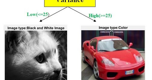 Image Classification - Black and White, Color | IMAGE PROCESSING