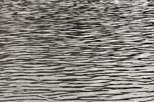 Wandel-, Fiets- en FotografieWeblog: Structuren