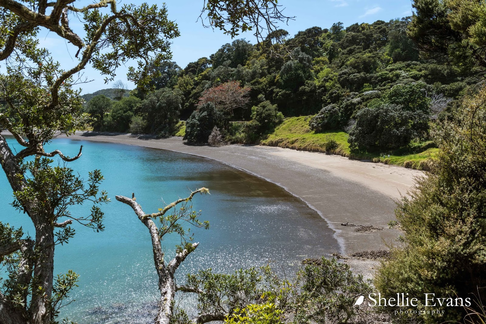 Two Go Tiki Touring: Perfect Puriri Bay- Part 2