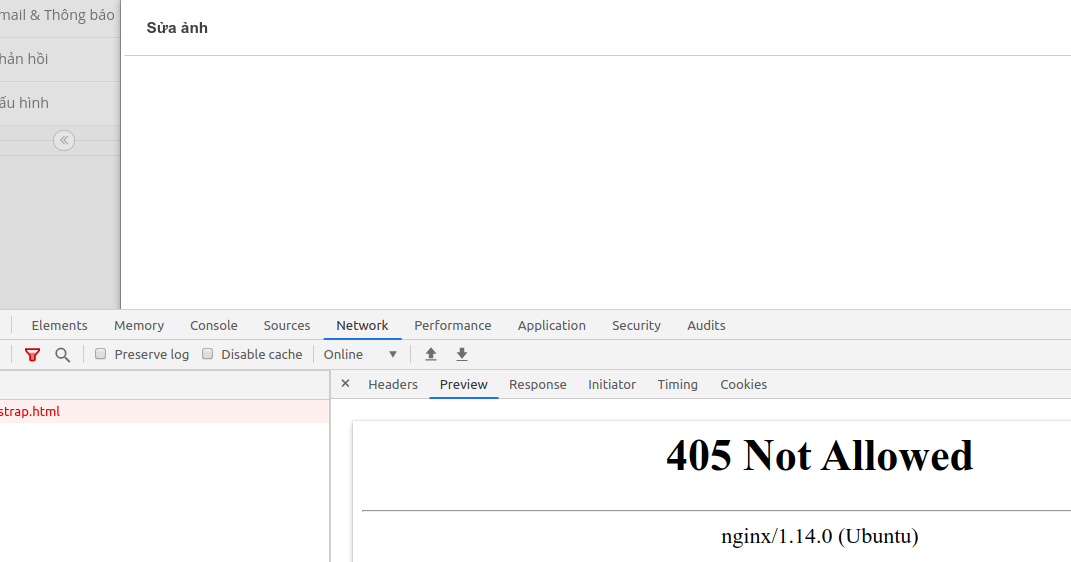405 Error With Nginx Configuration
