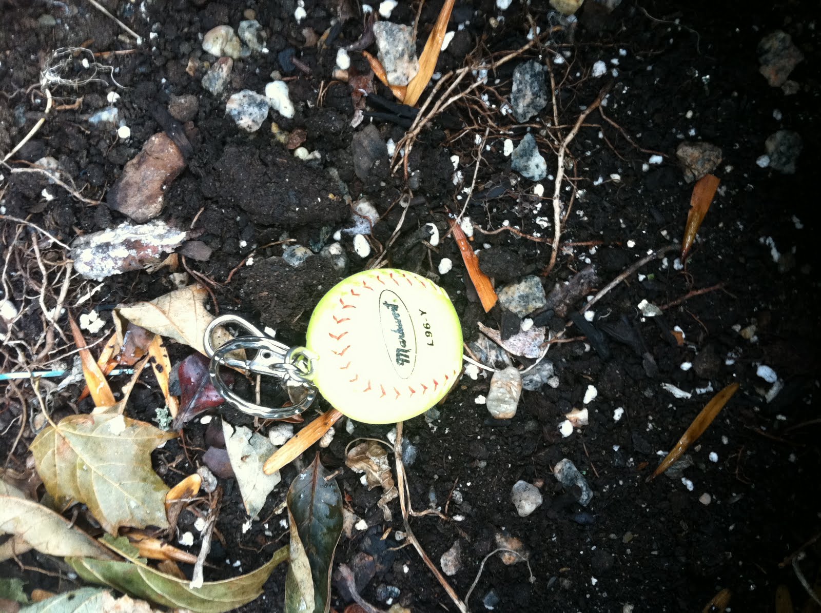 AP Biology Summer Assignment: Humus