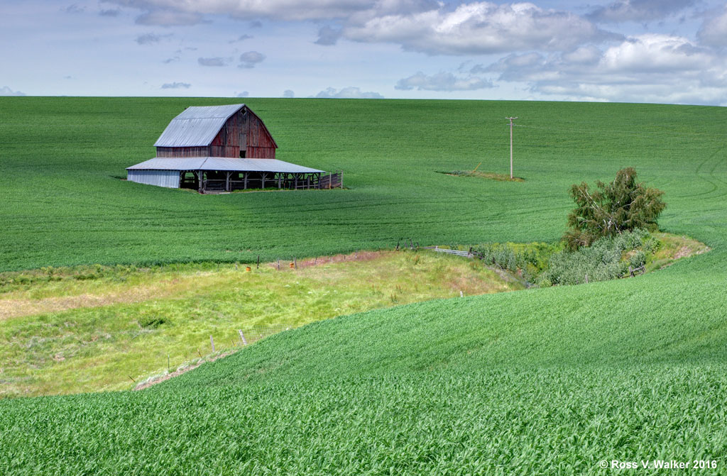 Ross Walker photography: Palouse Barns, Washington