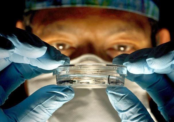 APOLOGIA HAS MOVED In Vitro Fertilization Unwise APOLOGIA HAS MOVED In Vitro Fertilization Unwise