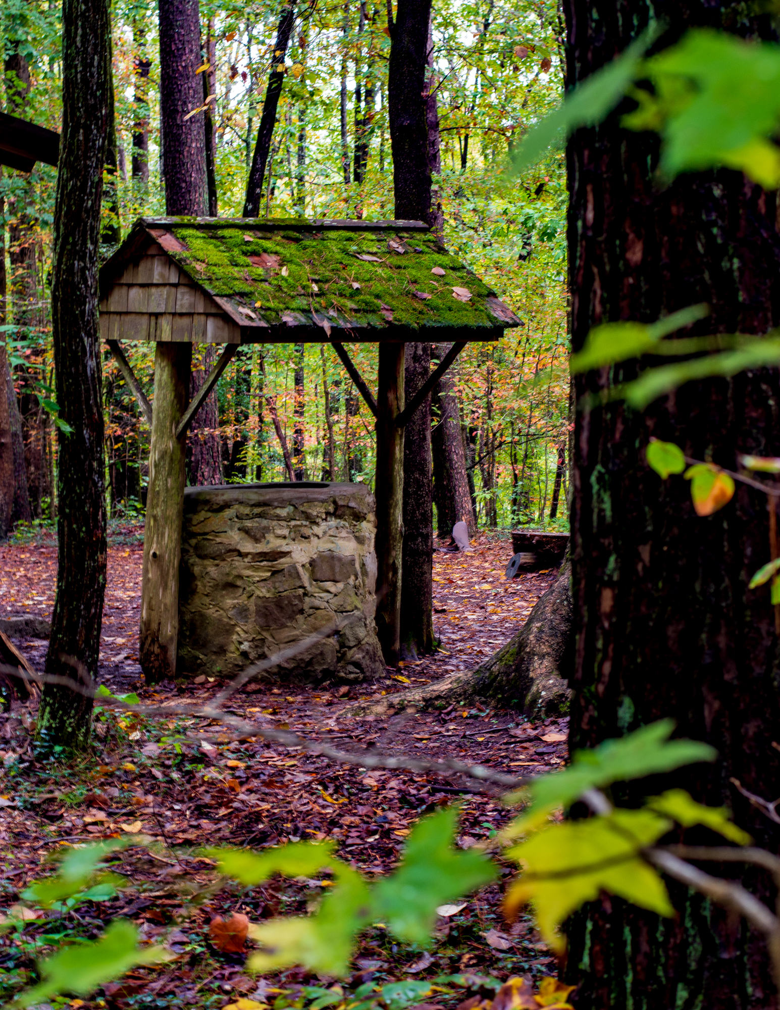EXPLORING ALABAMA || GREEN MOUNTAIN | Brettni Brumfield