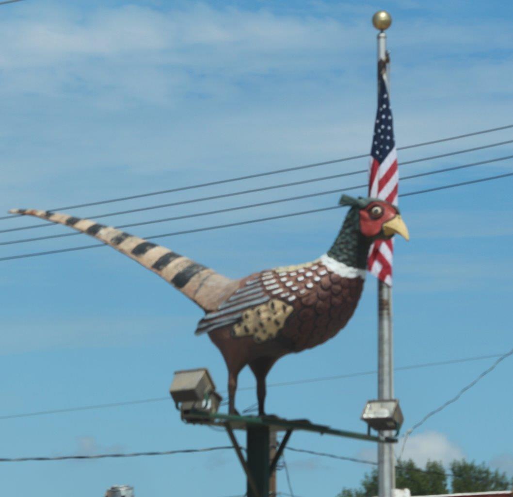 Sarah Lynn's Nature's Splendor: Photos: from Tulare, South Dakota, to ...