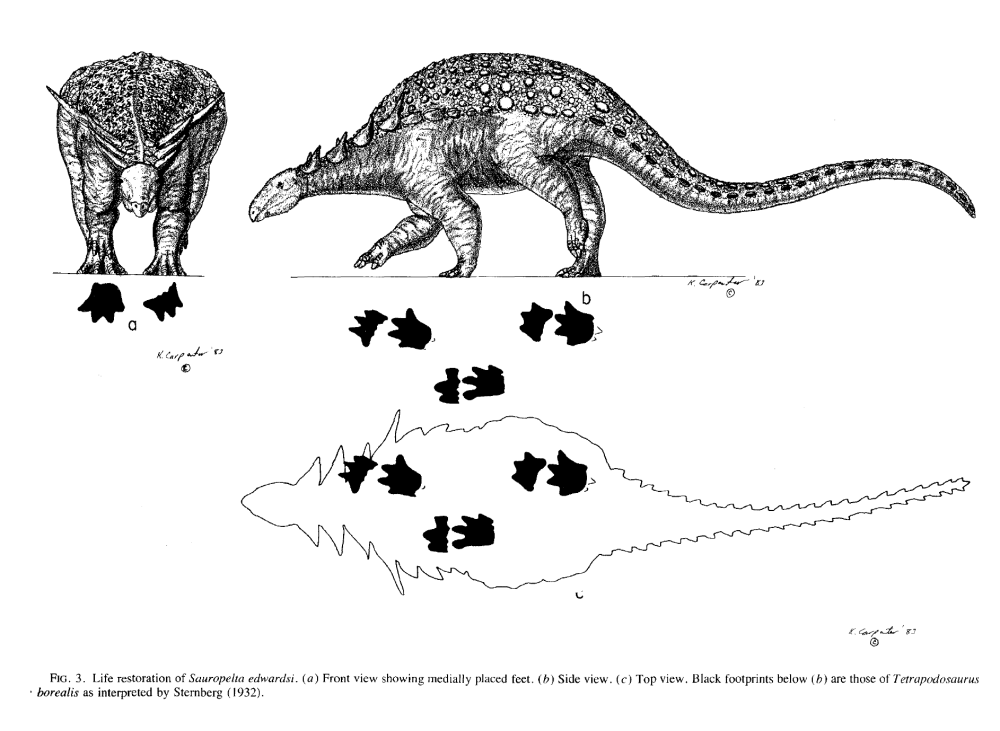 Furahan Biology and Allied Matters: Trying to sculpt a dinosaur ...