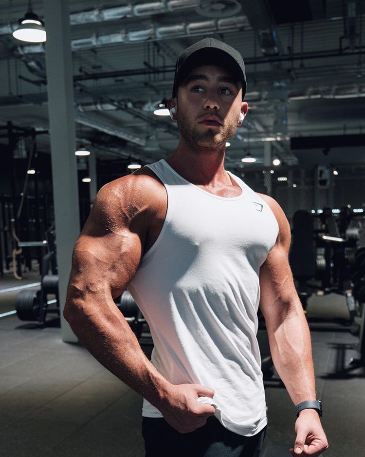 Muscle, Muscle, Muscle: Muscle