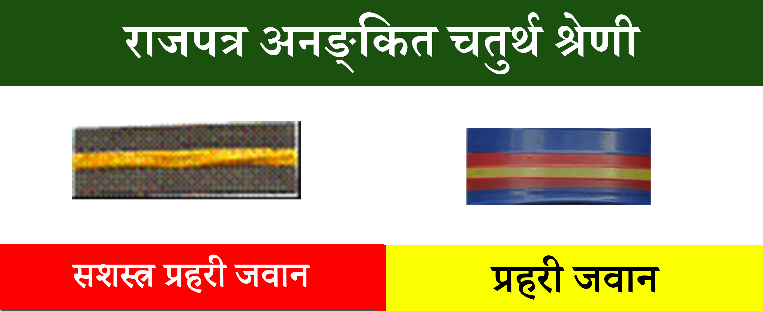 Nepal Police and Armed Police Force Rank Comparison | Chetan TM