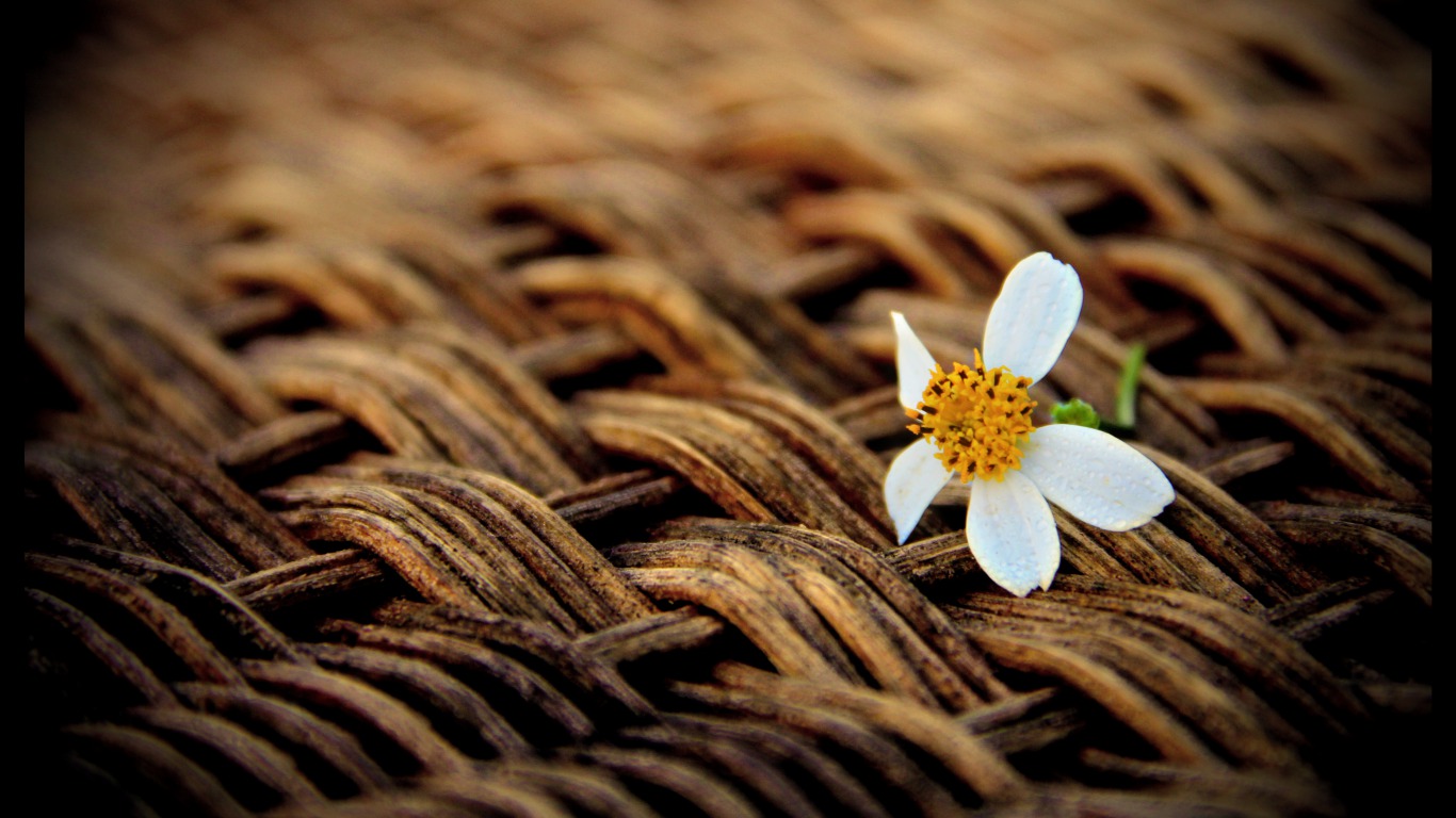 Word Chimes: Whiteness