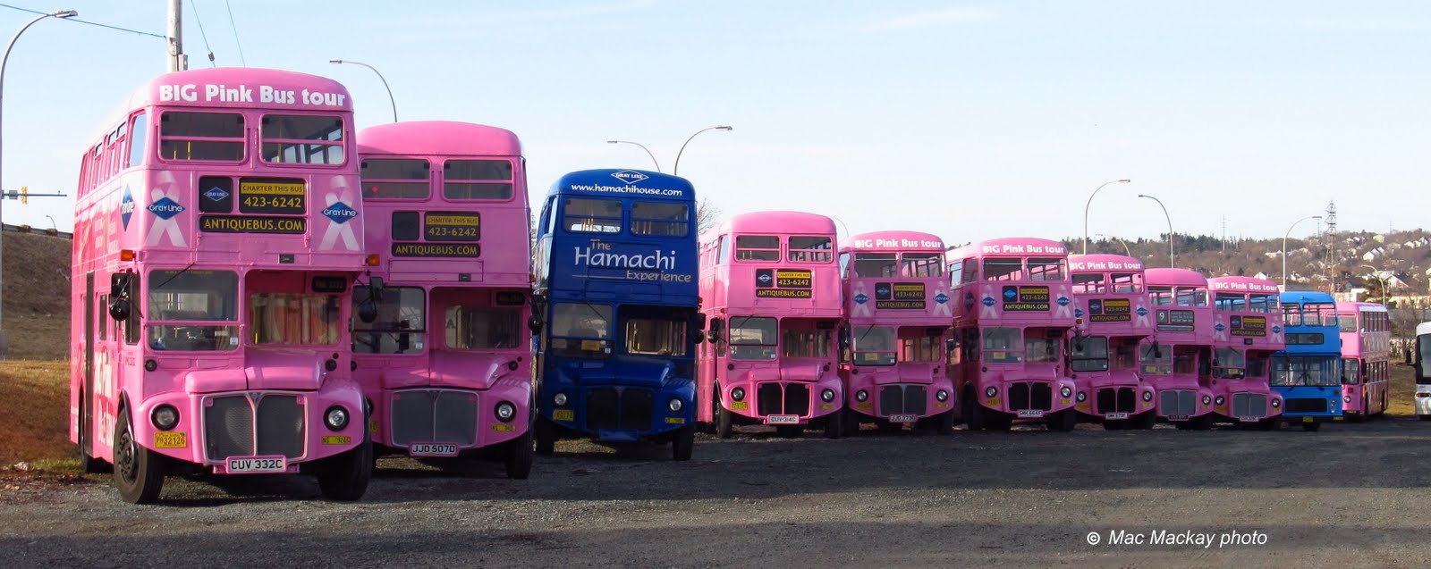 Truckfax: Routemasters in Pink and some interlopers