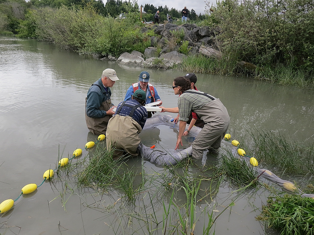 Ocean In View: June 2013