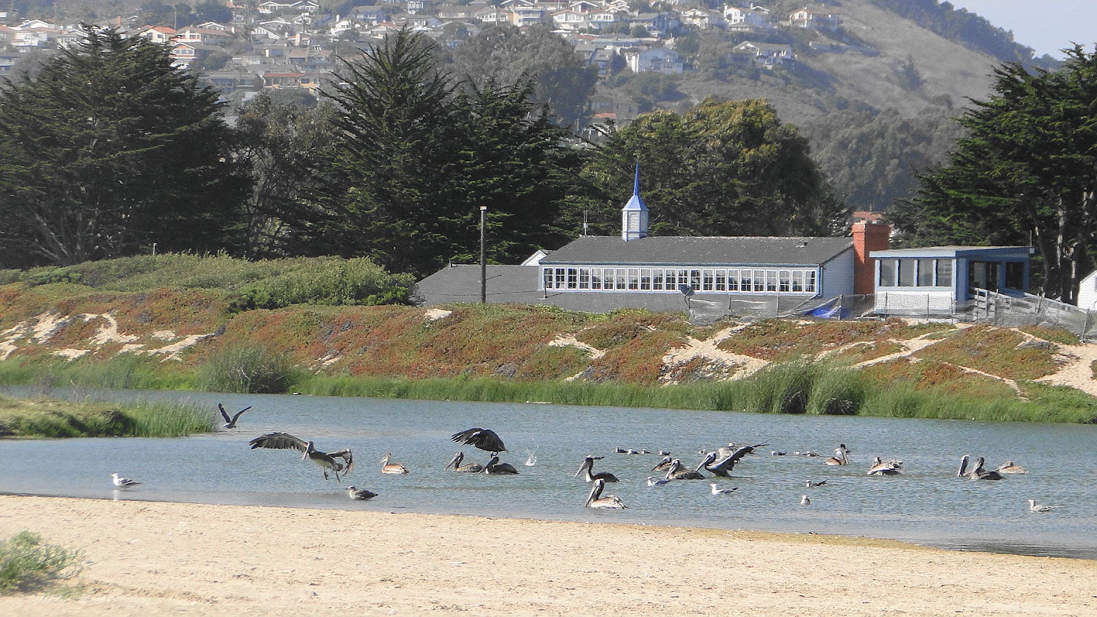 Three BCs and .....: Beach bums