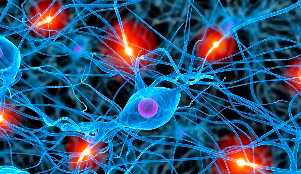 purpura: "TUS CÉLULAS ESCUCHAN LO QUE PIENSAS"