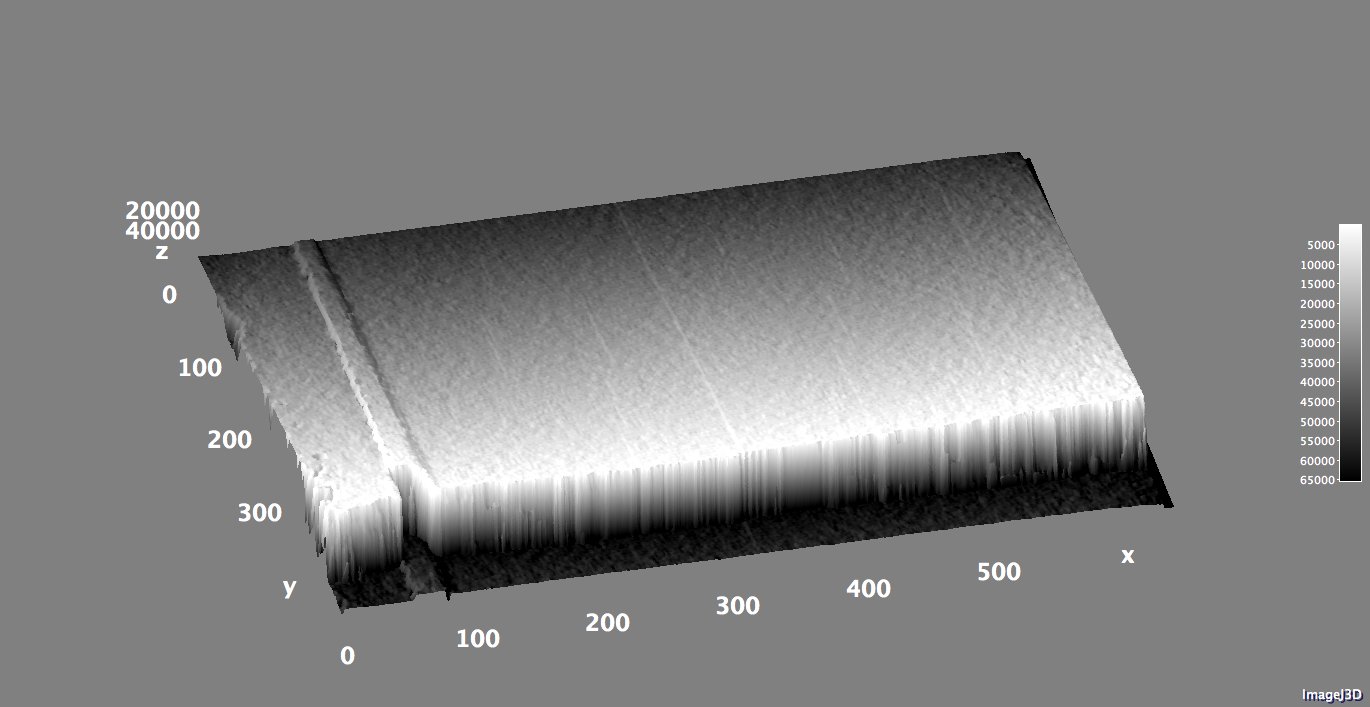 Research at a snail's pace: Hacking the Em2: Using the ImageJ to create ...