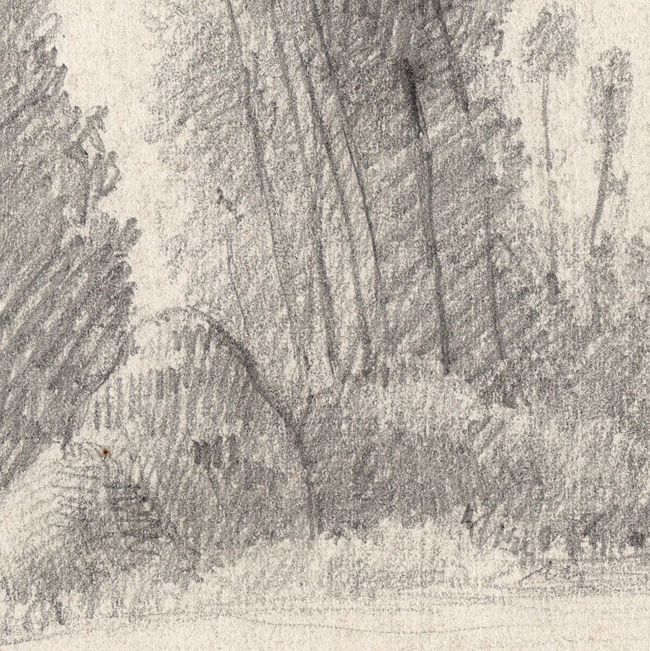 Prints and Principles: Charles Jacque’s pencil drawing, “Forest Edge”, 1869