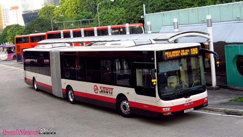 (buses[IN]gapore!): SMRT Buses : MAN NG363F A24/Gemilang (licensed Lion ...