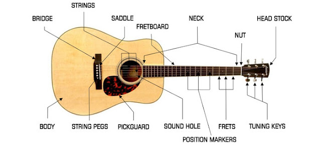 The Parts Of Acoustic Guitar
