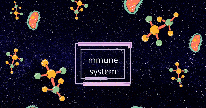 Immune Boosting Foods and Concoctions. ~ Ammae Food Products