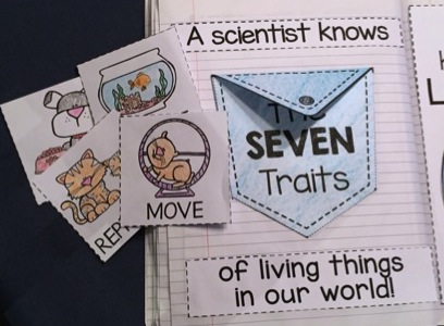 Living Things Interactive Notebook and Activities for Kids | The ...