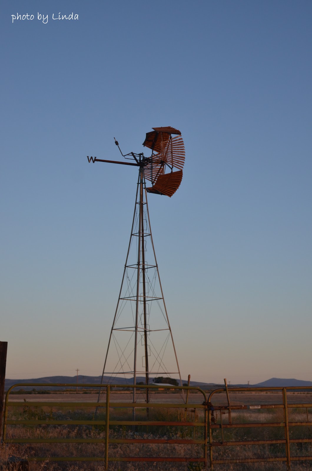 Oregon through my eyes: Windmills