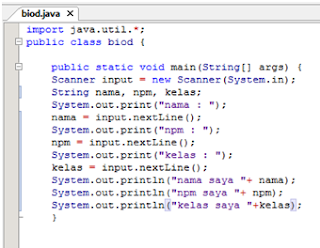 PROGRAM BIODATA SEDERHANA DI JAVA ~ Reynhard Punya Tugas