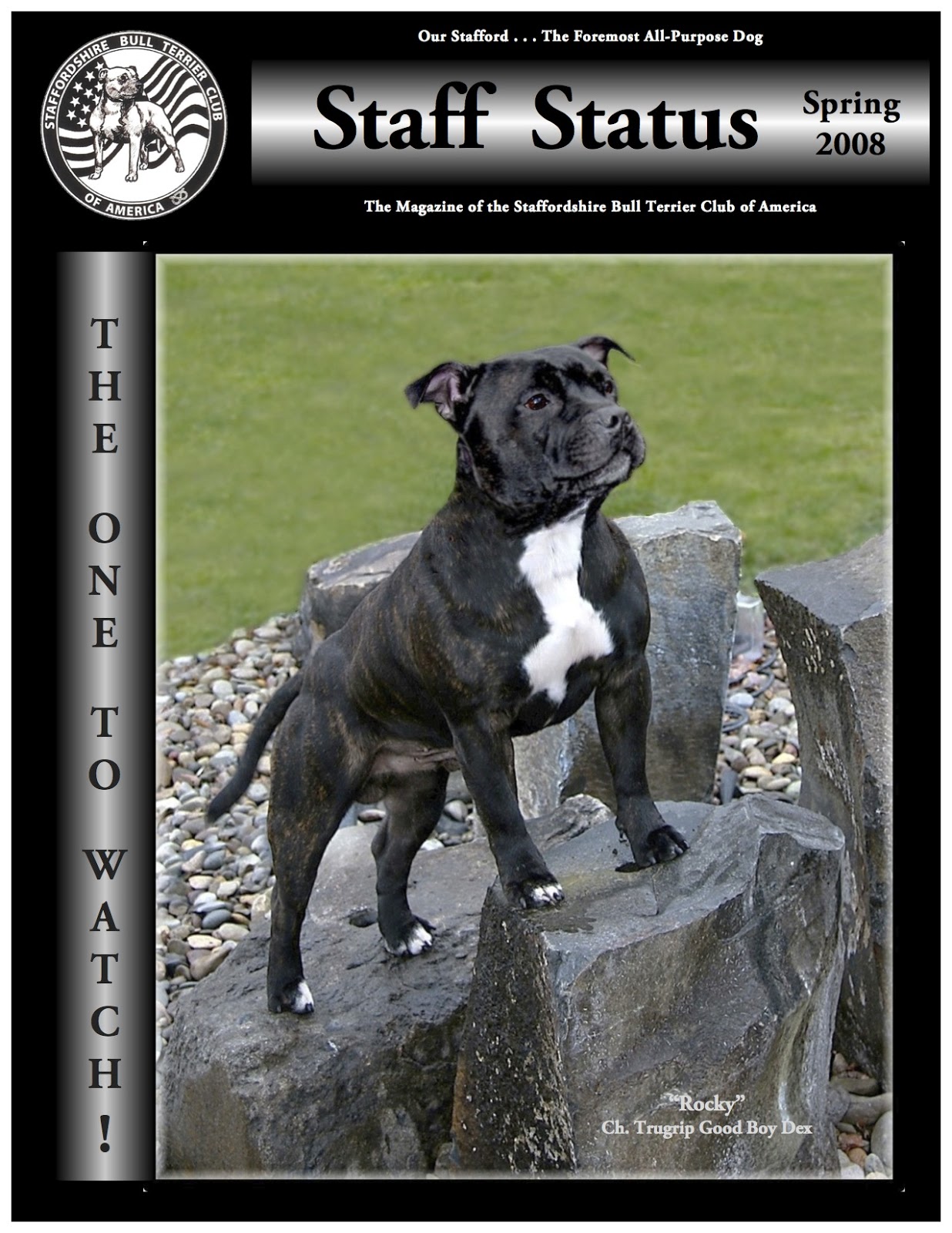 Tuff Love Kennels - Strathcona Staffy Bulls: February 2013