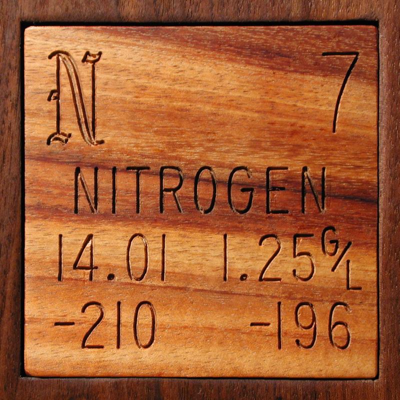 Heraldry of Life: 7.NITROGEN - ART with N-chemical element symbols