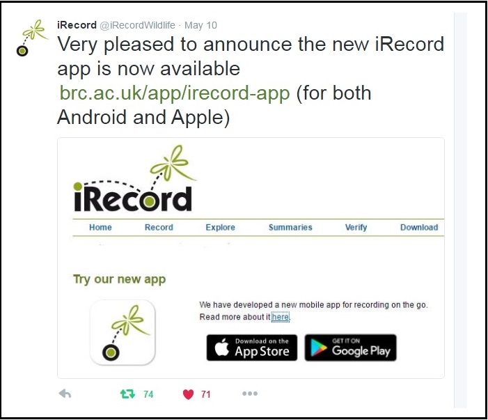 Biodiversity Gatwick: Why i-Record wildlife