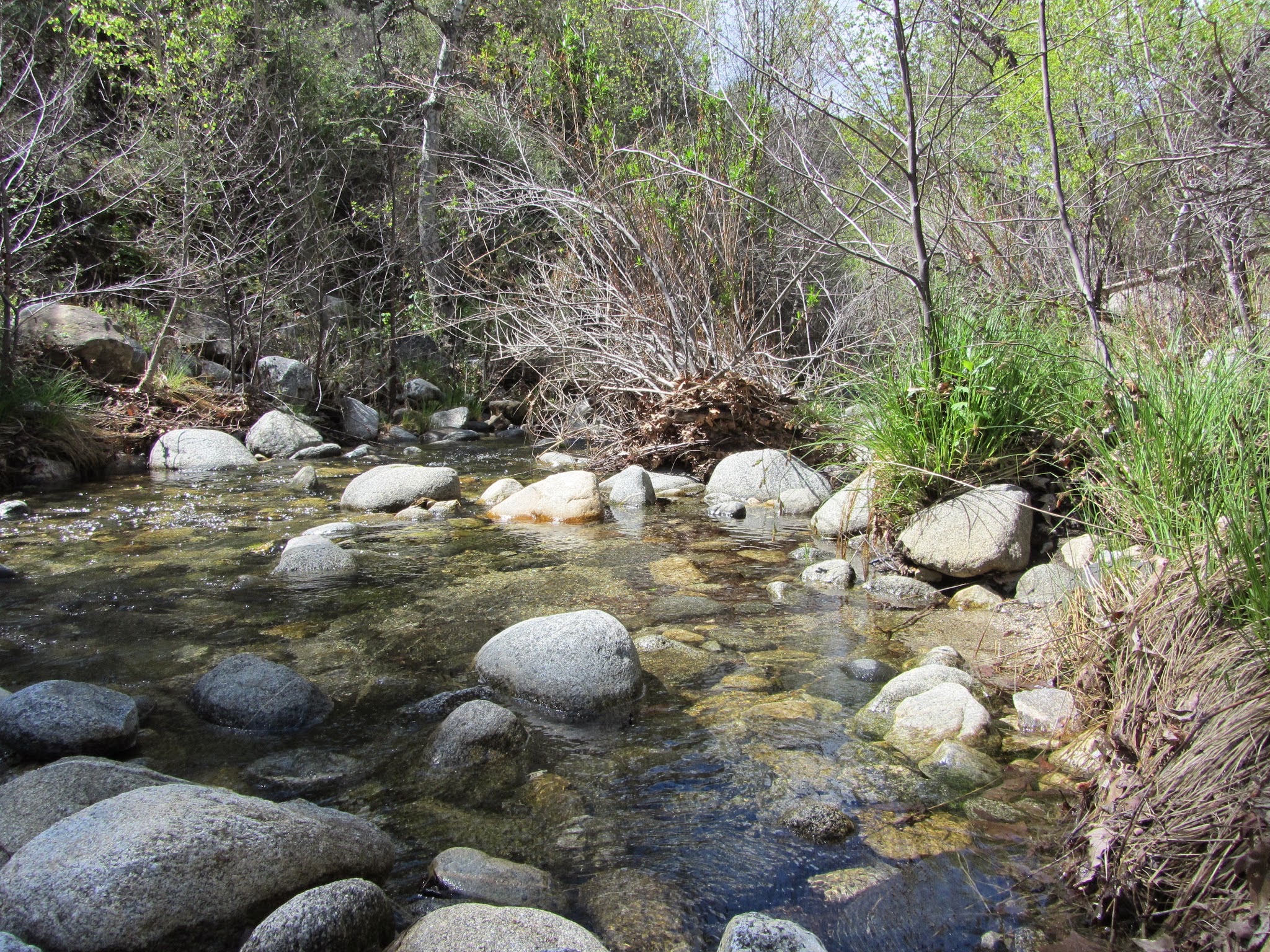 We Be Trekkin: Arroyo Seco Gorge/Santa Lucia Trail- Ventana Wilderness, CA