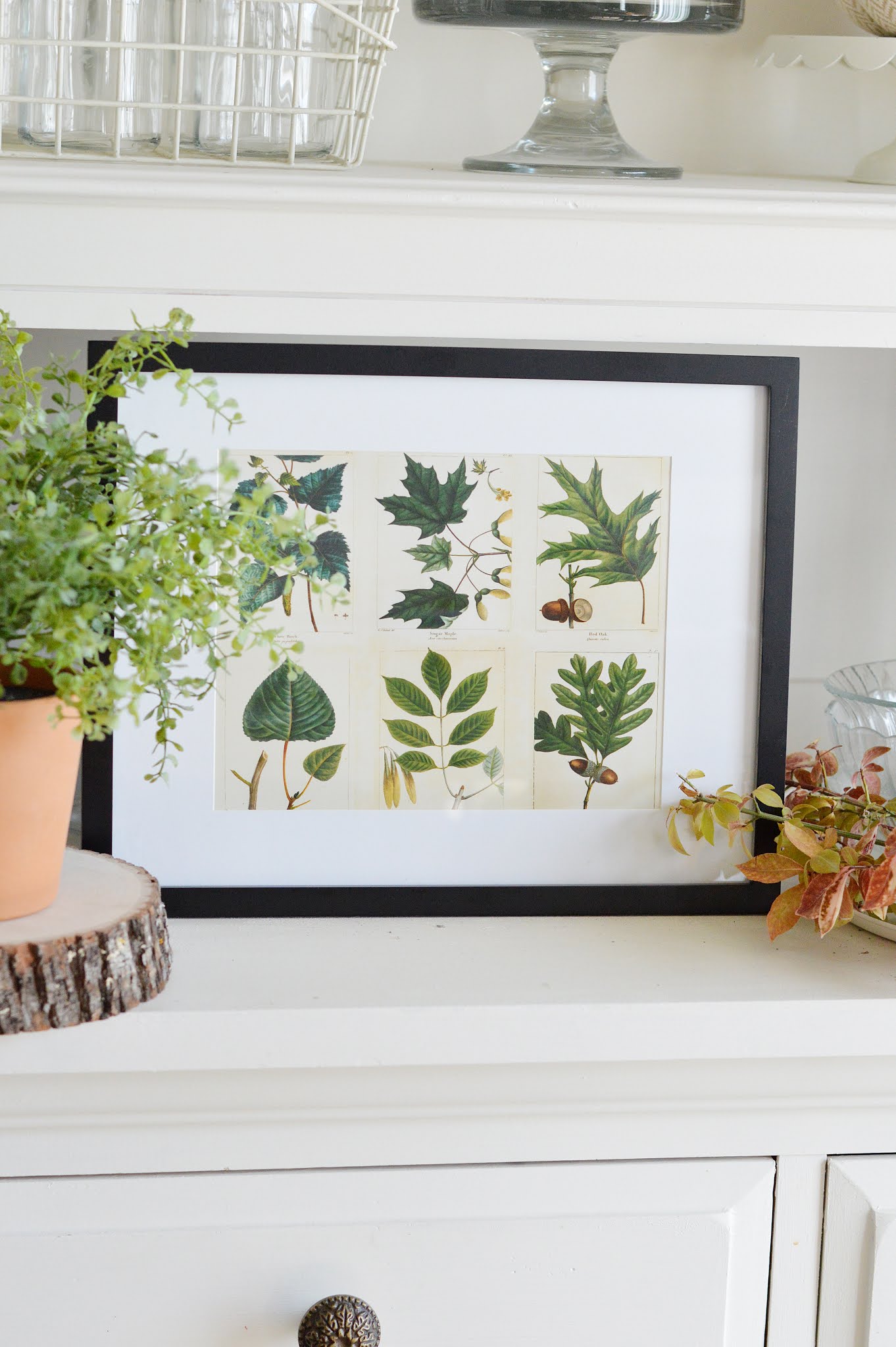 Leaf Collection Printable - My Someday in May