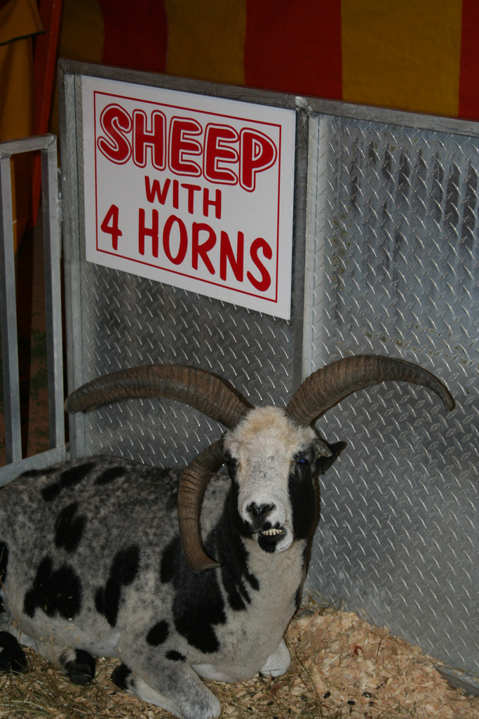 The Carpetbagger: The Modern Day Freak Show