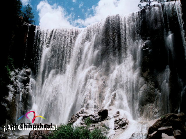 TIPS CHIHUAHUA: EN TURISMO EN CHIHUAHUA LE RECOMENDAMOS LOS SERVICIOS ... TIPS CHIHUAHUA: EN TURISMO EN CHIHUAHUA LE RECOMENDAMOS LOS SERVICIOS ...
