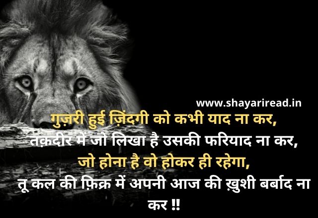 Royal Status, Royal Status Hindi, Royal Status in Hindi - Shayariread