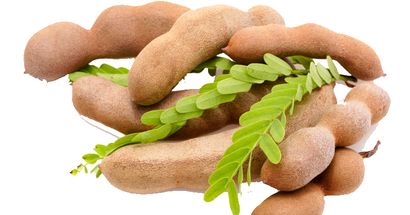 Hindi Alphabet for Kids: इ