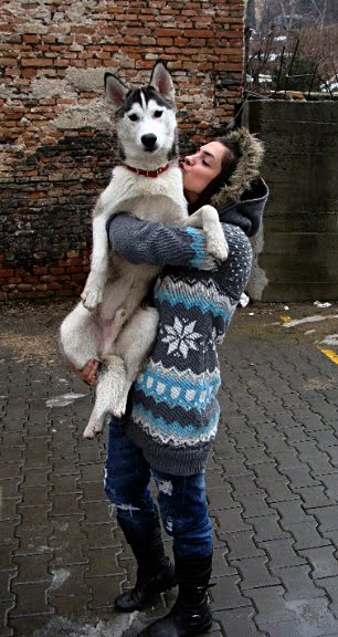 ROMEDICINE: Songshi-quan (the fluffy lion-dog)