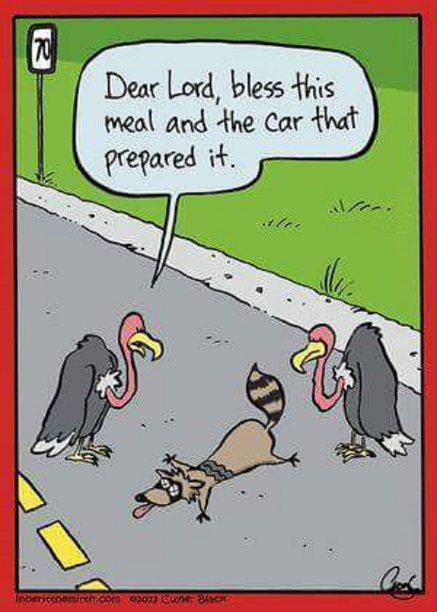 Episcopal Church Memes: "Dear Lord, bless this meal and the car that ...